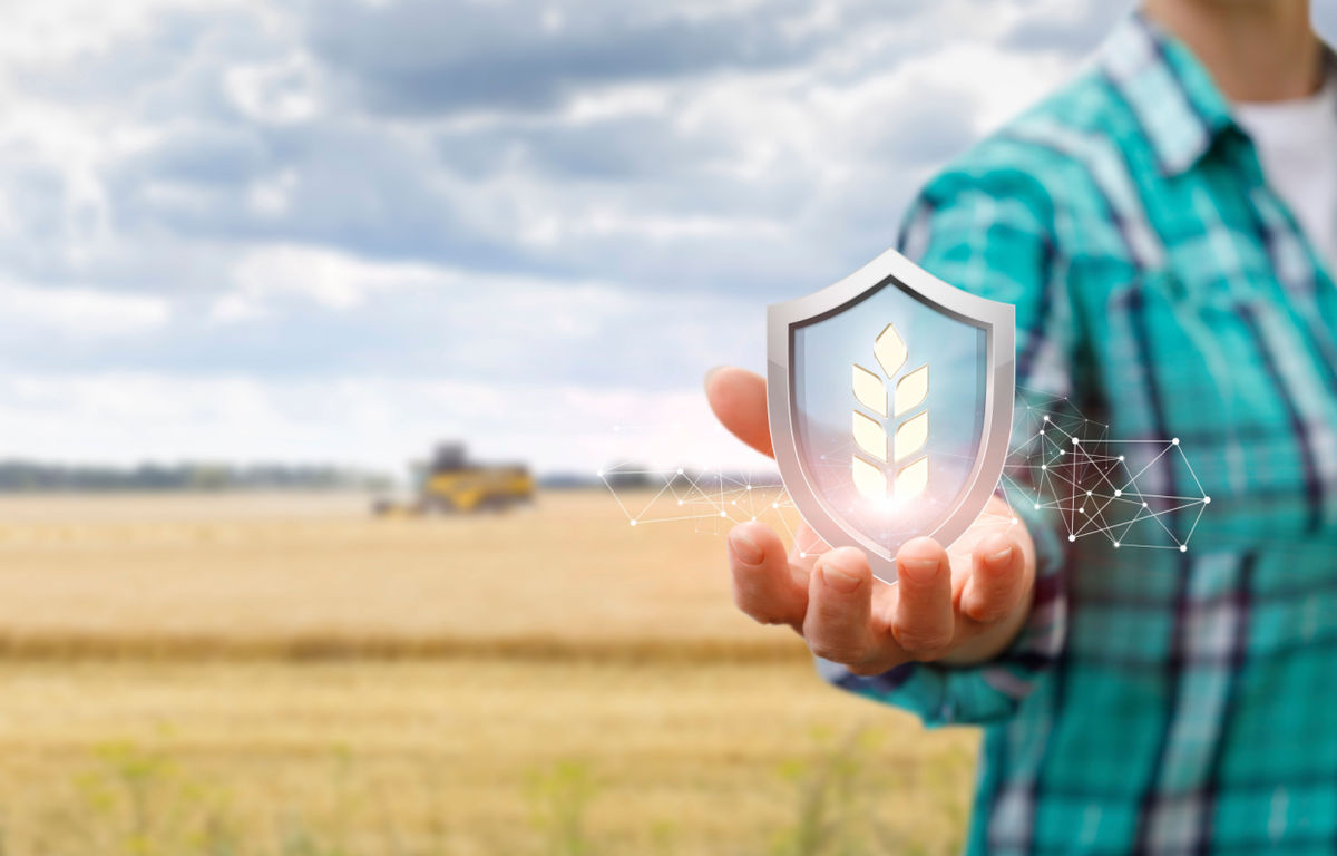 Harvest Strategy