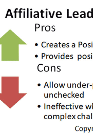 Affiliative Leaders | Moneyzine.com